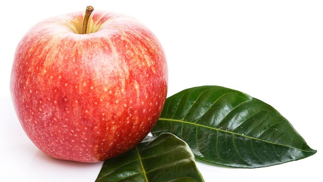 Die Liste alter Apfelsorten ist lang – eine Besondere gibt es an der ...